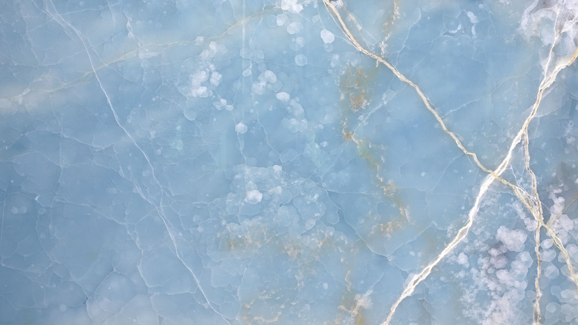 Onix Blanco | GrayPicar