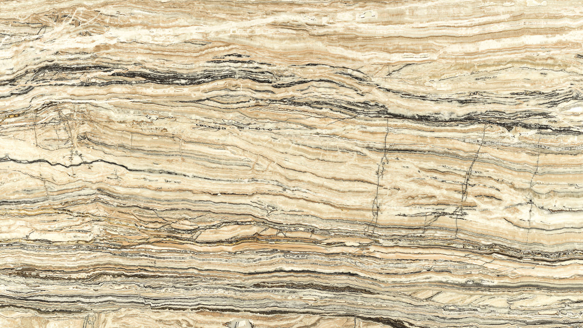 Onix Blanco | GrayPicar